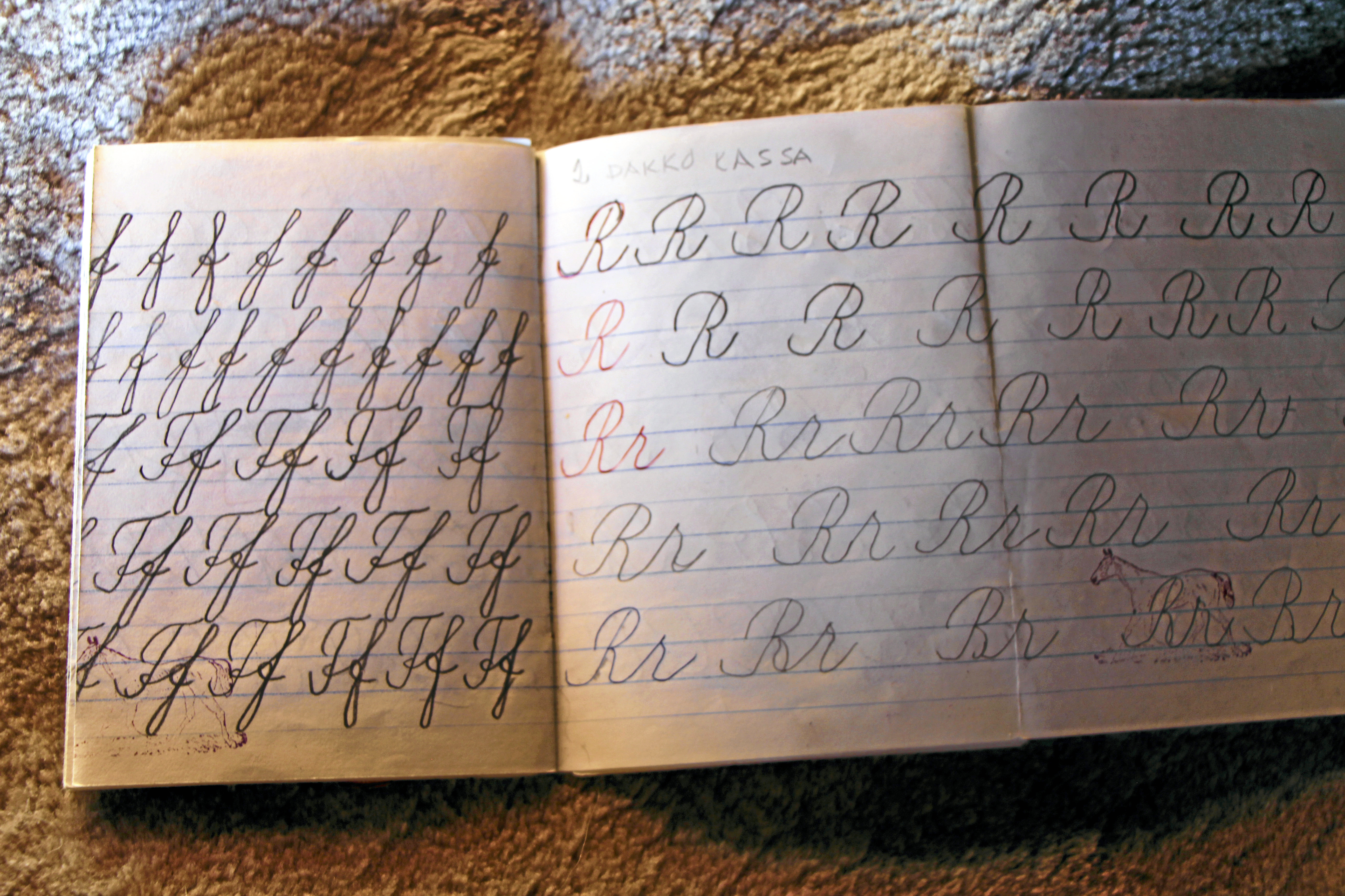 Nostalgiaa: Kaunokirjoituksessa kauneus on katsojan silmässä - Rantapohja