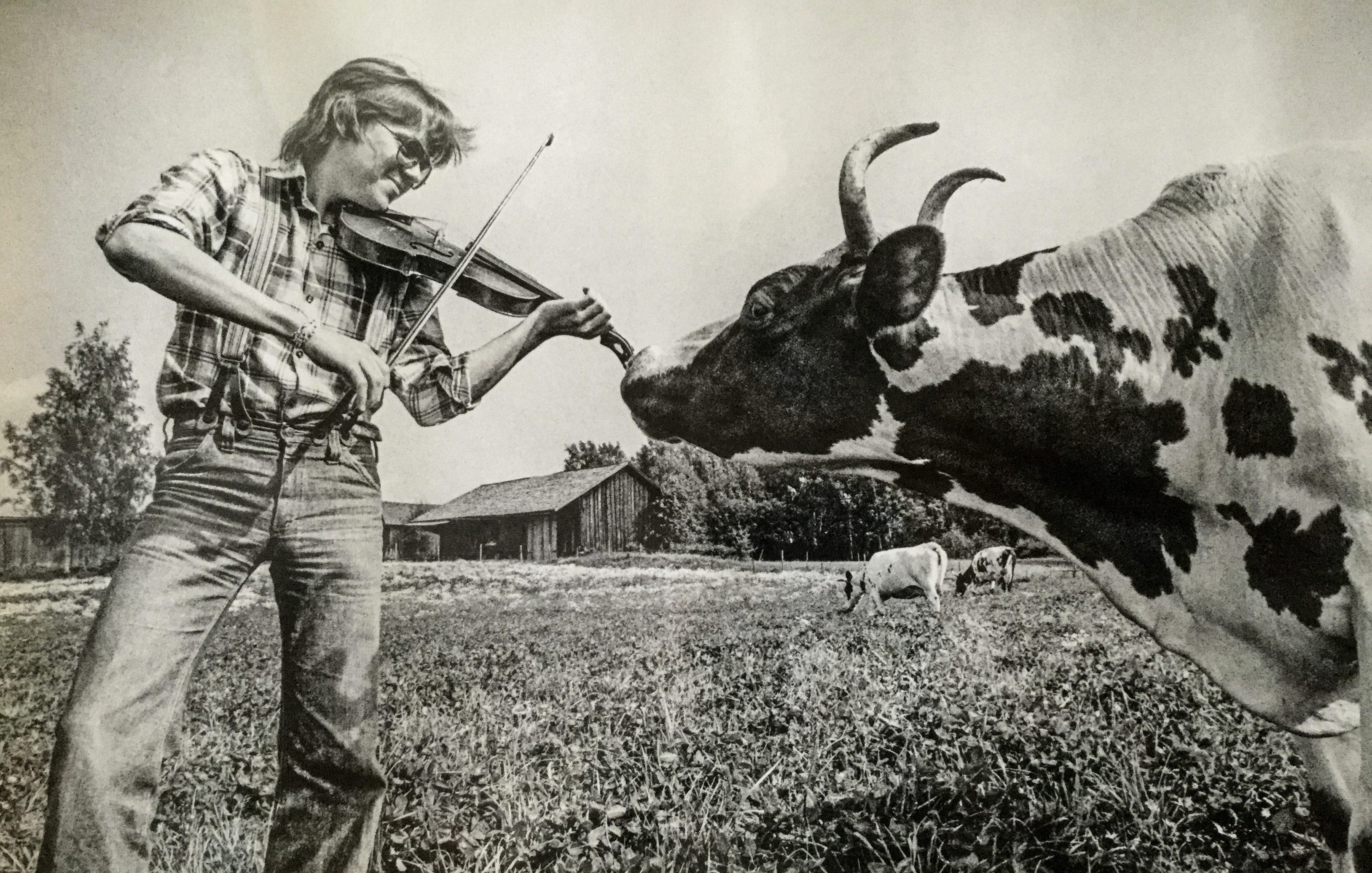 Mikko Alatalo tulossa Martinniemeen – Levy tekeillä Oulu sinfonian kanssa - Rantapohja